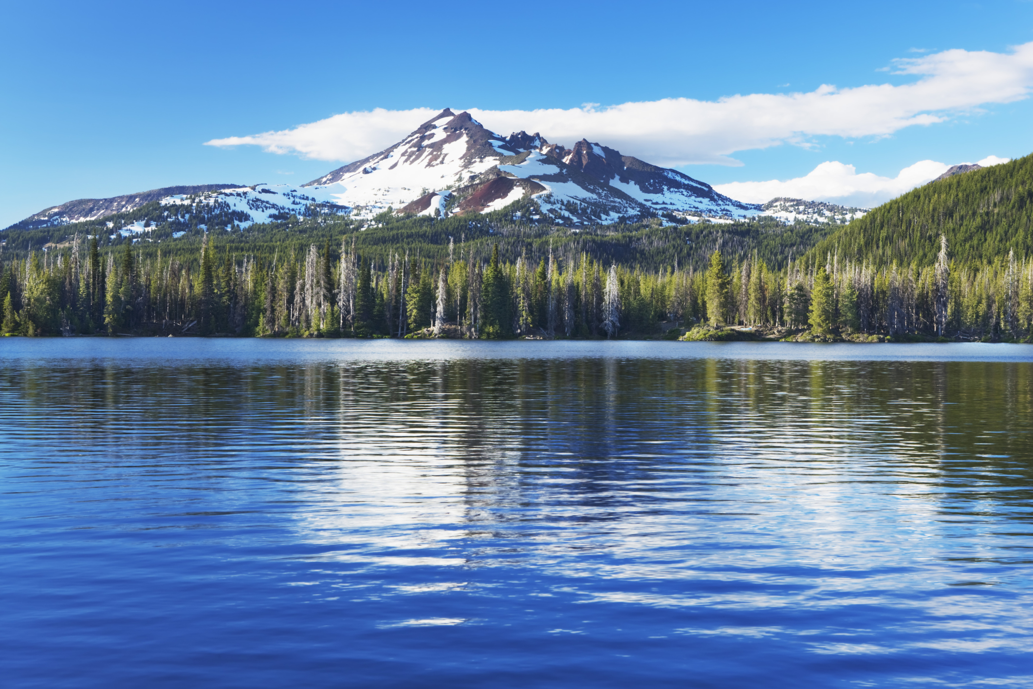 Most Beautiful Forests In America - Most Beautiful National Parks